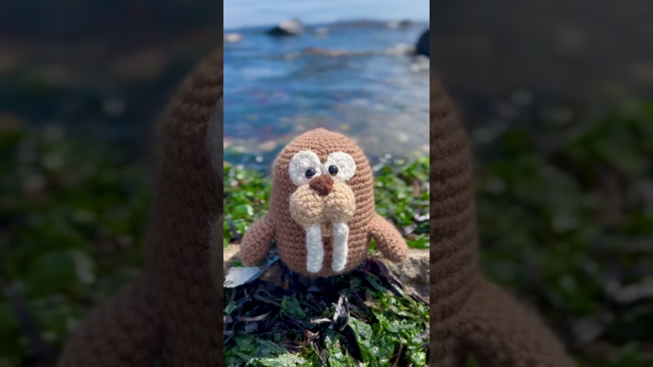 Crochet Walrus 💛