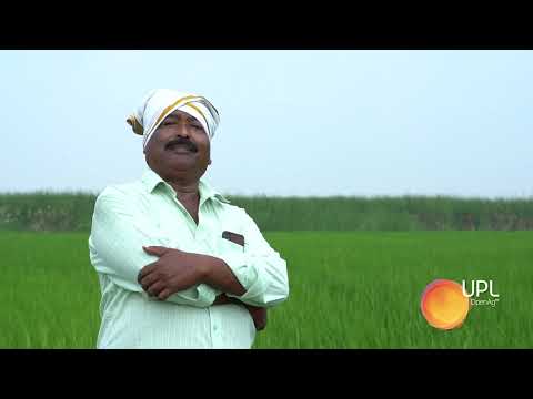 UPL Insecticides - Latest Price, Dealers & Retailers in India