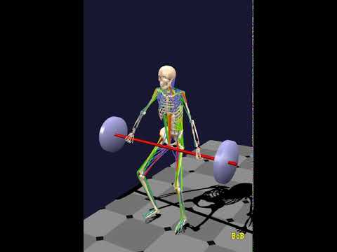 Weightlifting biomechanics