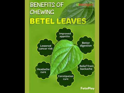 benefits of betel leaves
