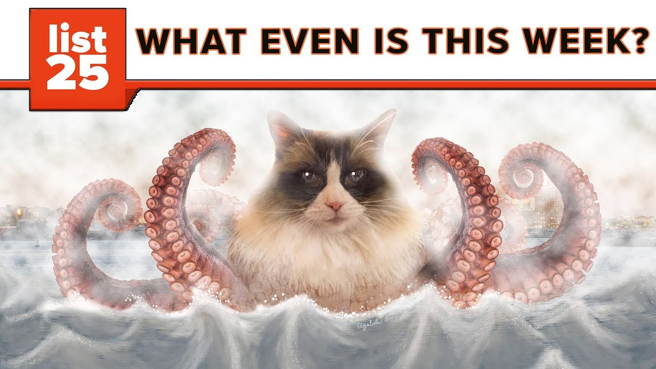 25 Cat Puns