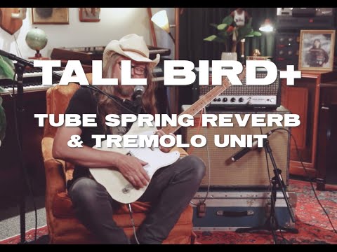Benson Amps Tall Bird Plus - Spring Reverb & Tremolo | Reverb Canada