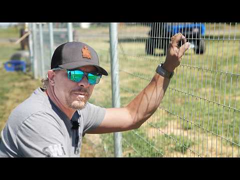 Everyone Chooses The Wrong Fence Wire
