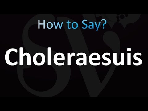 How to Pronounce Choleraesuis (correctly!)