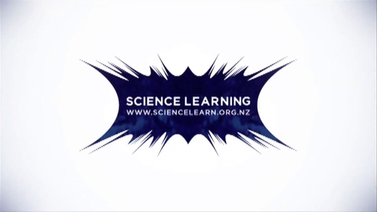 Mounting Moths: Science Learning Hub