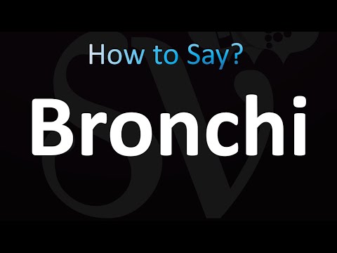 How to Pronounce Bronchi (correctly!)