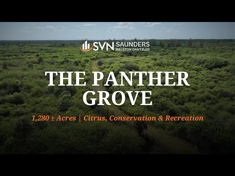 Citrus Grove & Recreational Land For Sale | The Panther Grove | 1,280 Acres | Immokalee, Florida