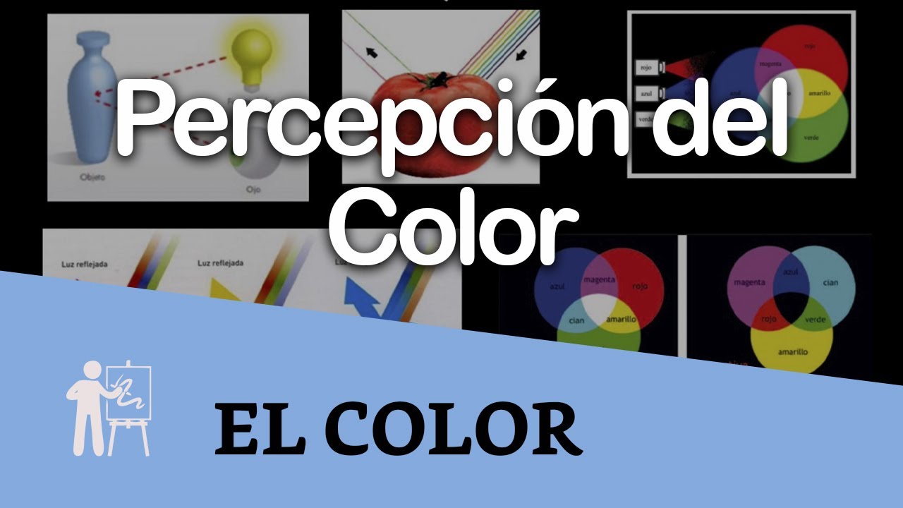Color perception ---- Color perception