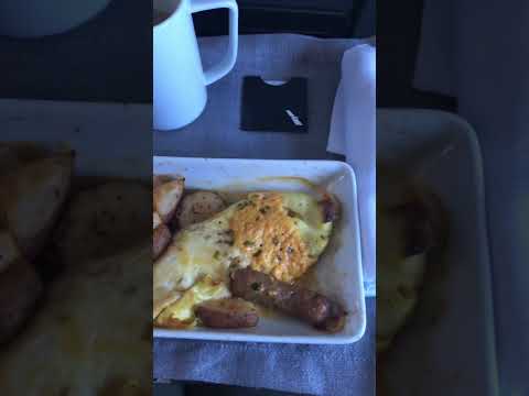 More First Class Meals from American Airlines! #shorts #thisisatravelblog #travel #firstclass