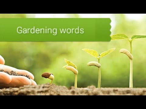 Garden in sinhala
