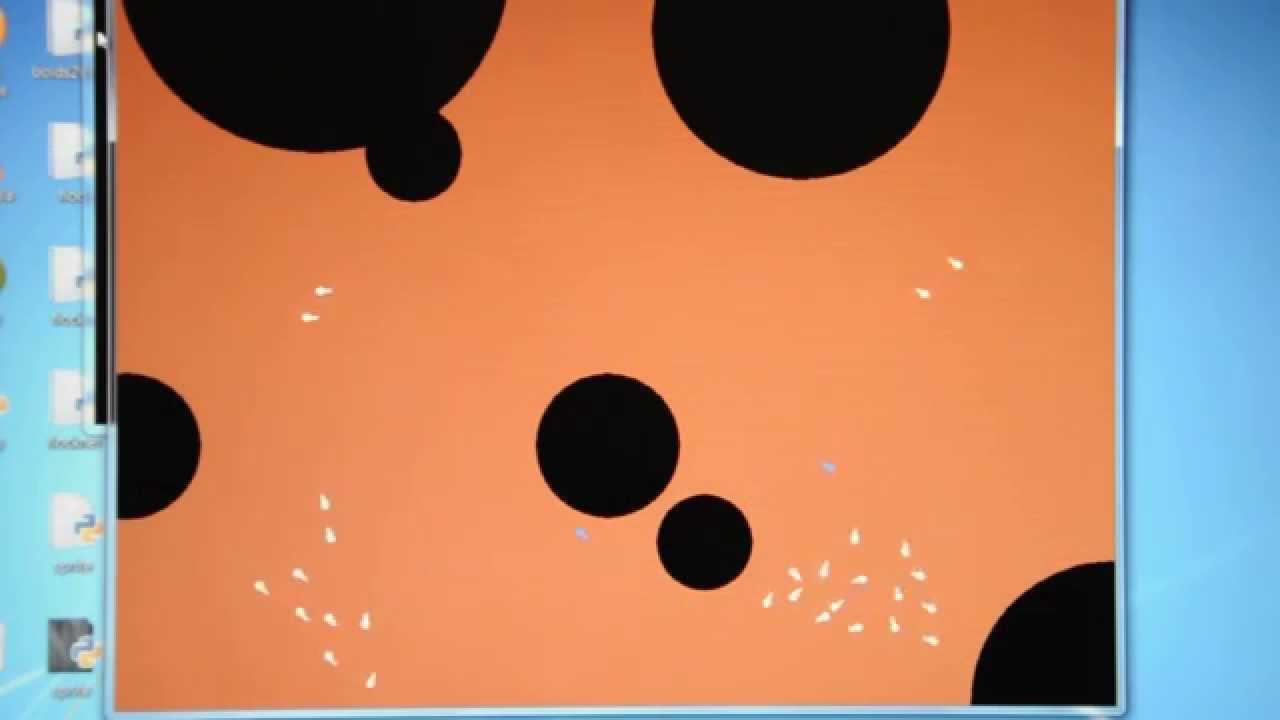 Boids flocking python