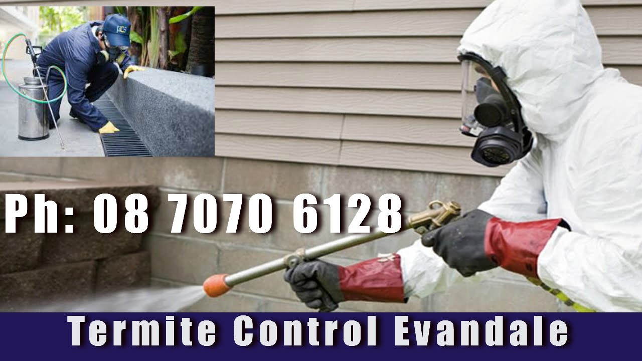 Termite Control Evandale