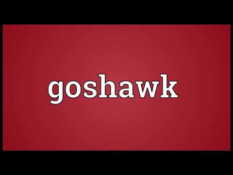 Goshawk Meaning