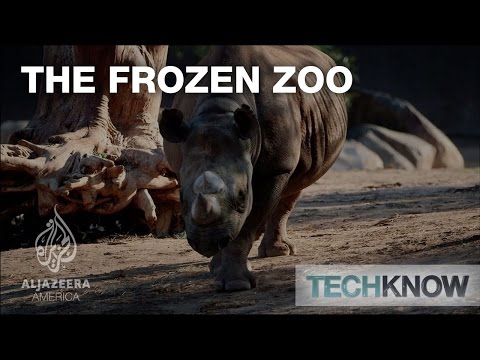 The Frozen Zoo – TechKnow – Caillou – Un zoo dans le jardin S02 Ép17 ...