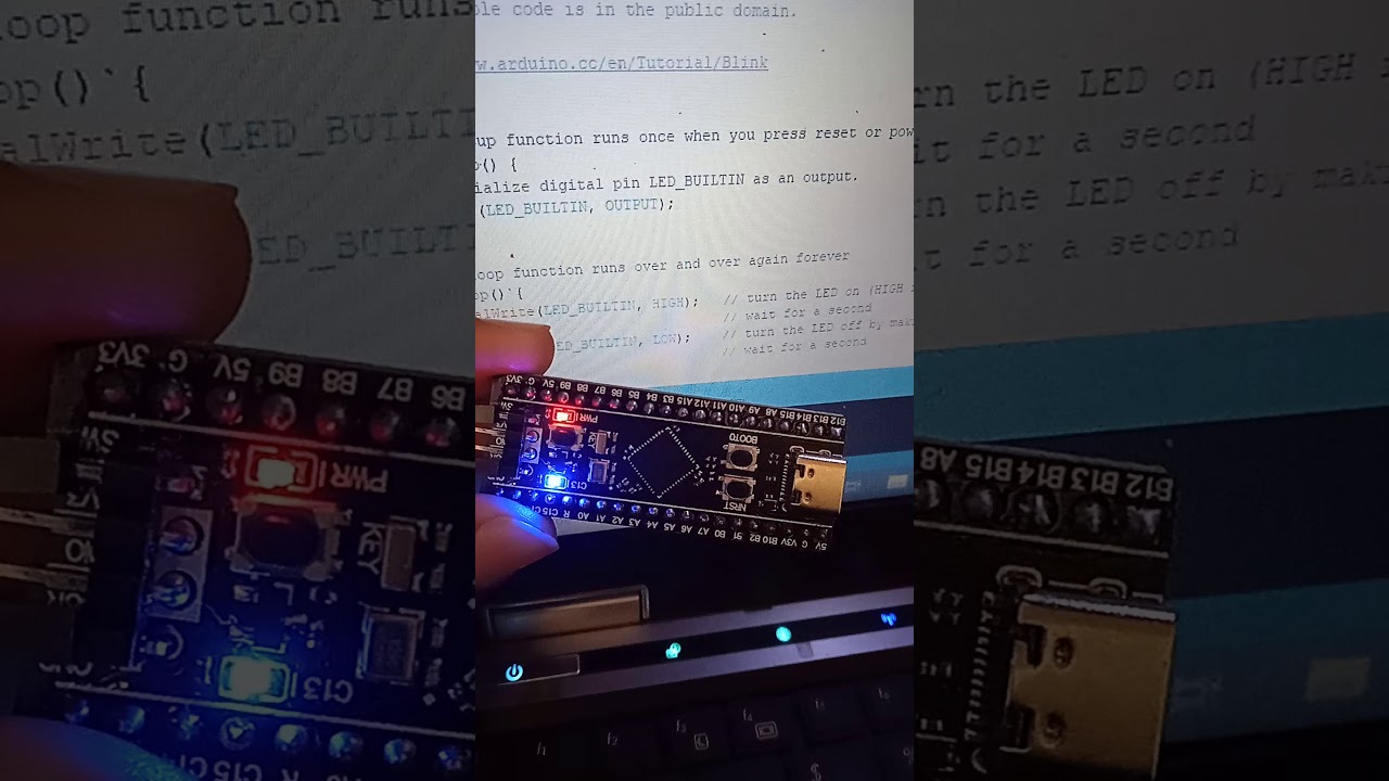 STM32 Black Pill successful flash with Arduino IDE