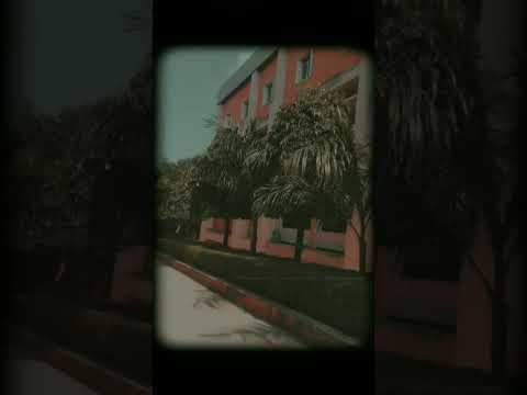 Atma Ram Sanatan Dharma college๐ฟ|| Delhi university ๐ฟ #delhiuniversity #college #shorts #memories