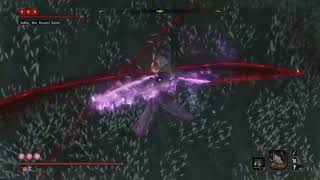 Shadow Blink and Dash - Elden Art and Sakura Art with SR merge at ...