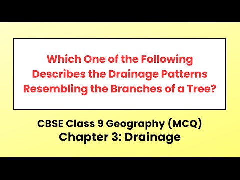 Which One of the Following Describes the Drainage Patterns Resembling the Branches of a Tree?