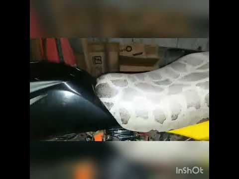 My Bajaj, sentimental value memories