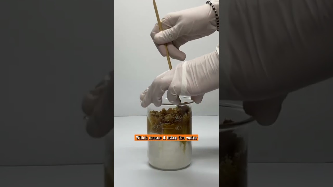 Watch This Wild Experiment With Sulfuric Acid #shorts
