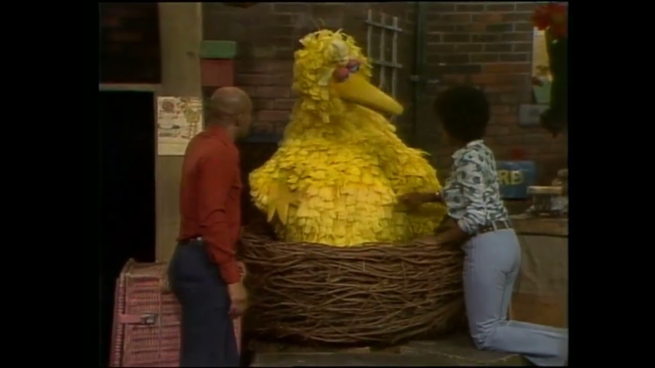 0799 - Big Bird Feels Sick 