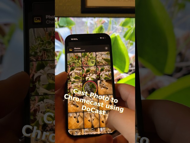 Google Chromecast Screen Screenshots Entire Cast