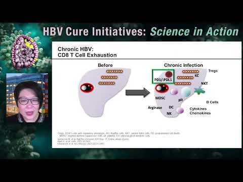 HBV Cure Initiatives: Science in Action, An Expert Review of Current Data