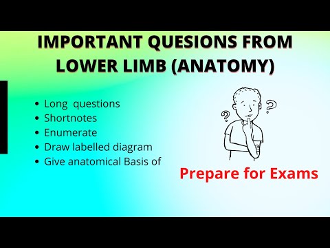 IMPORTANT QUESTIONS OF LOWER LIMB – Anatomy QA