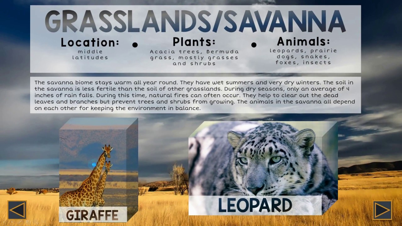 Biome Interactive PowerPoint Teaching Resource
