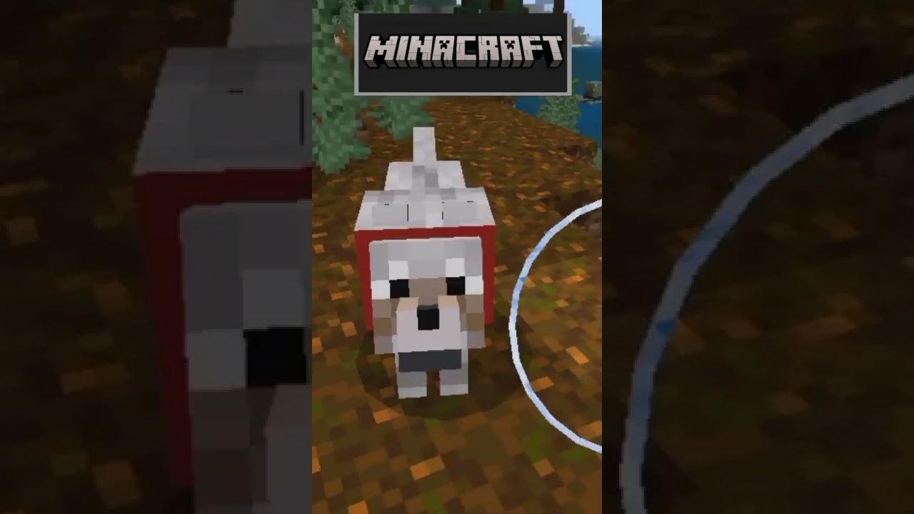 Your wolf's health | Minecraft Bedrock