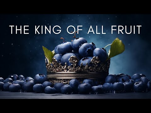The Truth About Blueberries - Why They're Essential for Daily Nutrition