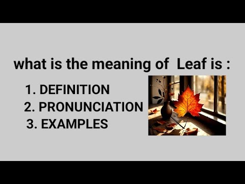 What is the meaning of leaf || Definition of the leaf || Leaf meaning in English