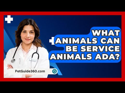 What Animals Can Be Service Animals ADA? - PetGuide360.com