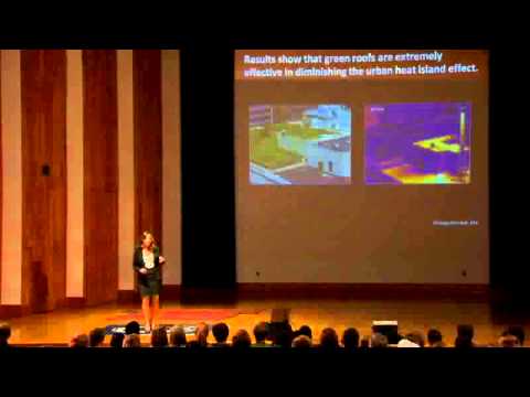 Rethinking Scientific Presentations: the Assertion-Evidence Approach
