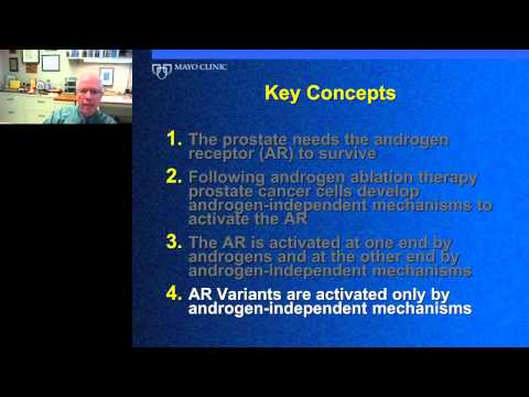 Donald Tindall - The Molecular Mechanisms of Castration Resistant Prostate Cancer