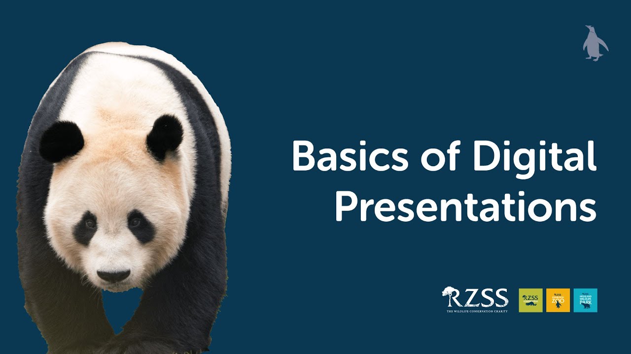 The basics of digital presentations