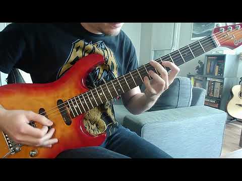 Chapel Of Disease - Void Of Words (Guitar Cover)