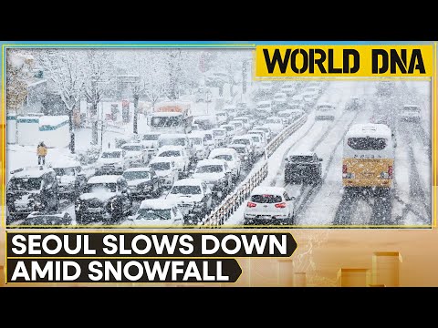 South Korea: Heaviest November Snow In 100 Years Hits Seoul | World News | World DNA | WION
