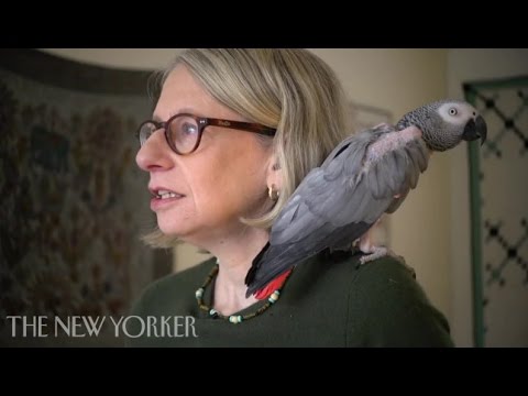 At Home with Roz Chast - The New Yorker