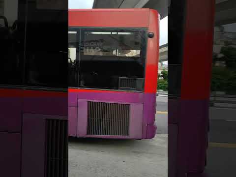 Singapore Bus Scania K230