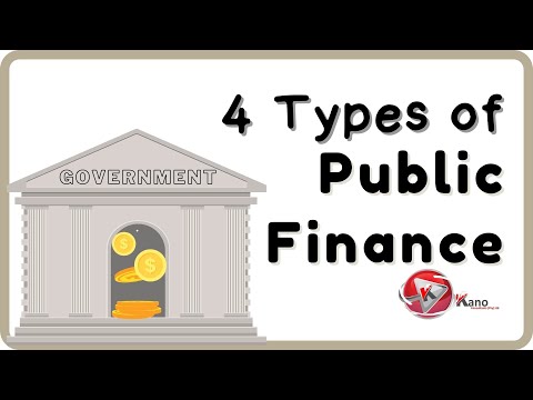 What is Public Finance? 4 Types of Public Finance Explained | 7 Functions of Public Finance