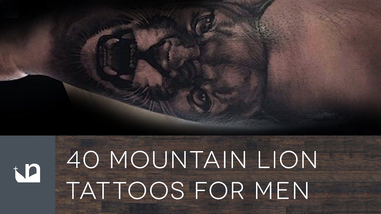 40 Mountain Lion Tattoos For Men