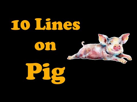 10 Lines on Pig in English