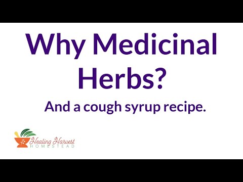 Why Medicinal Herbs? And a Recipe for Homemade Cough Syrup that Works (DTDS 1)