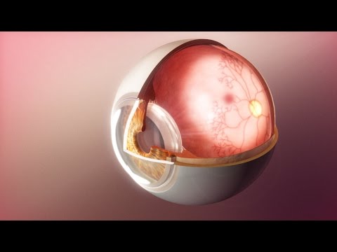 Taking a closer look at ROP