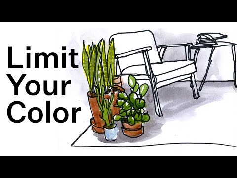 Limited Color