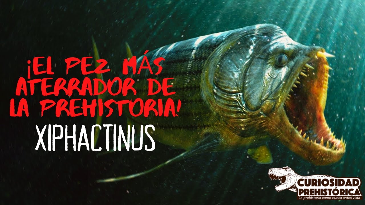¡El pez mas aterrador de la prehistoria! - XIPHACTINUS