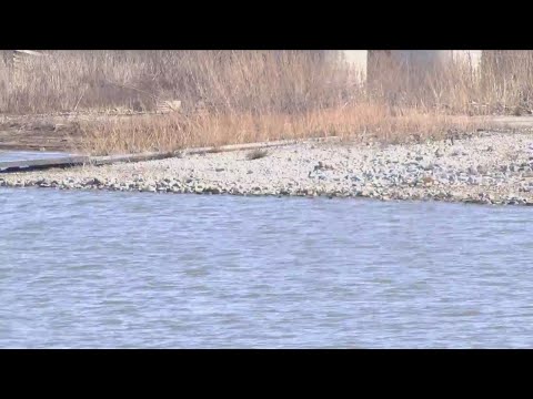 Fishing licenses now available in Illinois