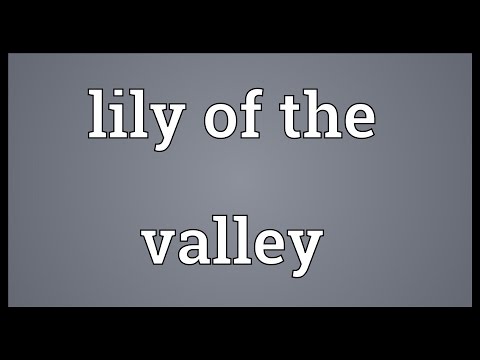 Lily of the valley Meaning