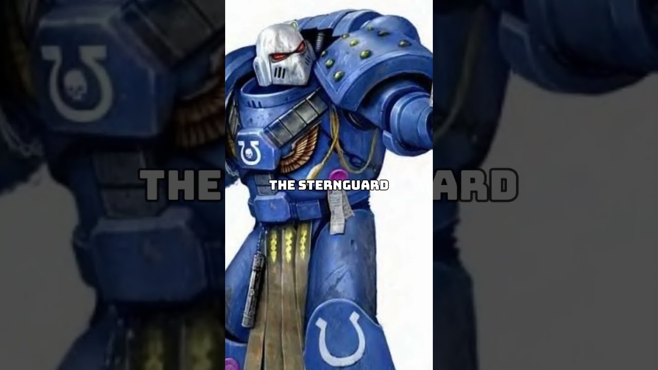 Sternguard Veterans EXPLAINED  #warhammer40k #40k #spacemarines #boltgun #ultramarines
